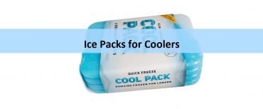 6 Best Ice Packs for Coolers – Latest Rankings and Guide
