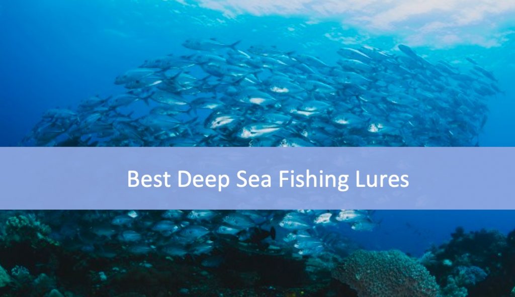 Top 6 Best Deep Sea Fishing Lures Compared : More Fishing Tips